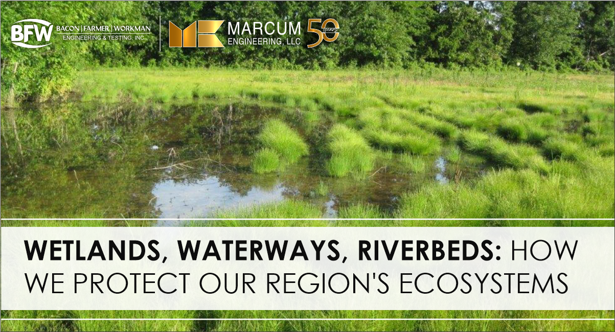 Wetlands, Waterways, & Riverbeds: Protecting Our Ecosystem